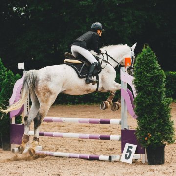 The Evolution of Equestrian Equipment: Merging Heritage with High-Tech ...